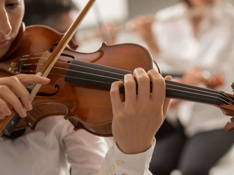 Apollo’s gift and curse: how music can shape our brain - De Gruyter ...